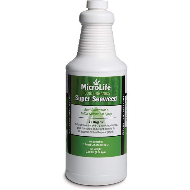 MicroLife Liquid Fertilizer ‘Super Seaweed’ | The Flora Culture